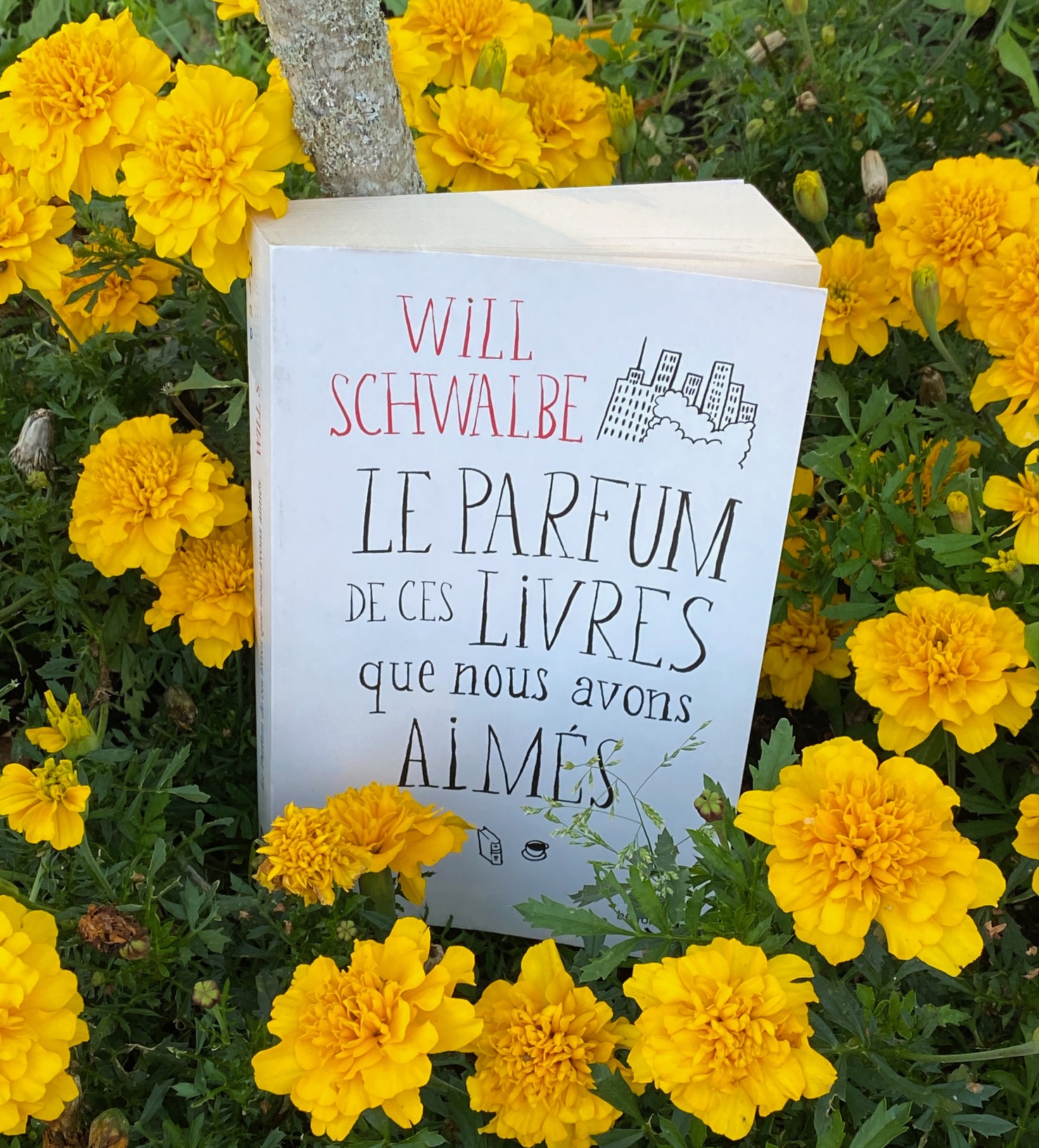 Le Parfum de ces livres que nous avons aimés - LIRE POUR GUÉRIR
